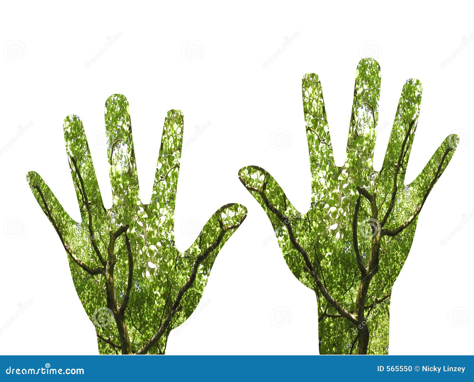 Growing hands stock illustration. Illustration of palms - 565550