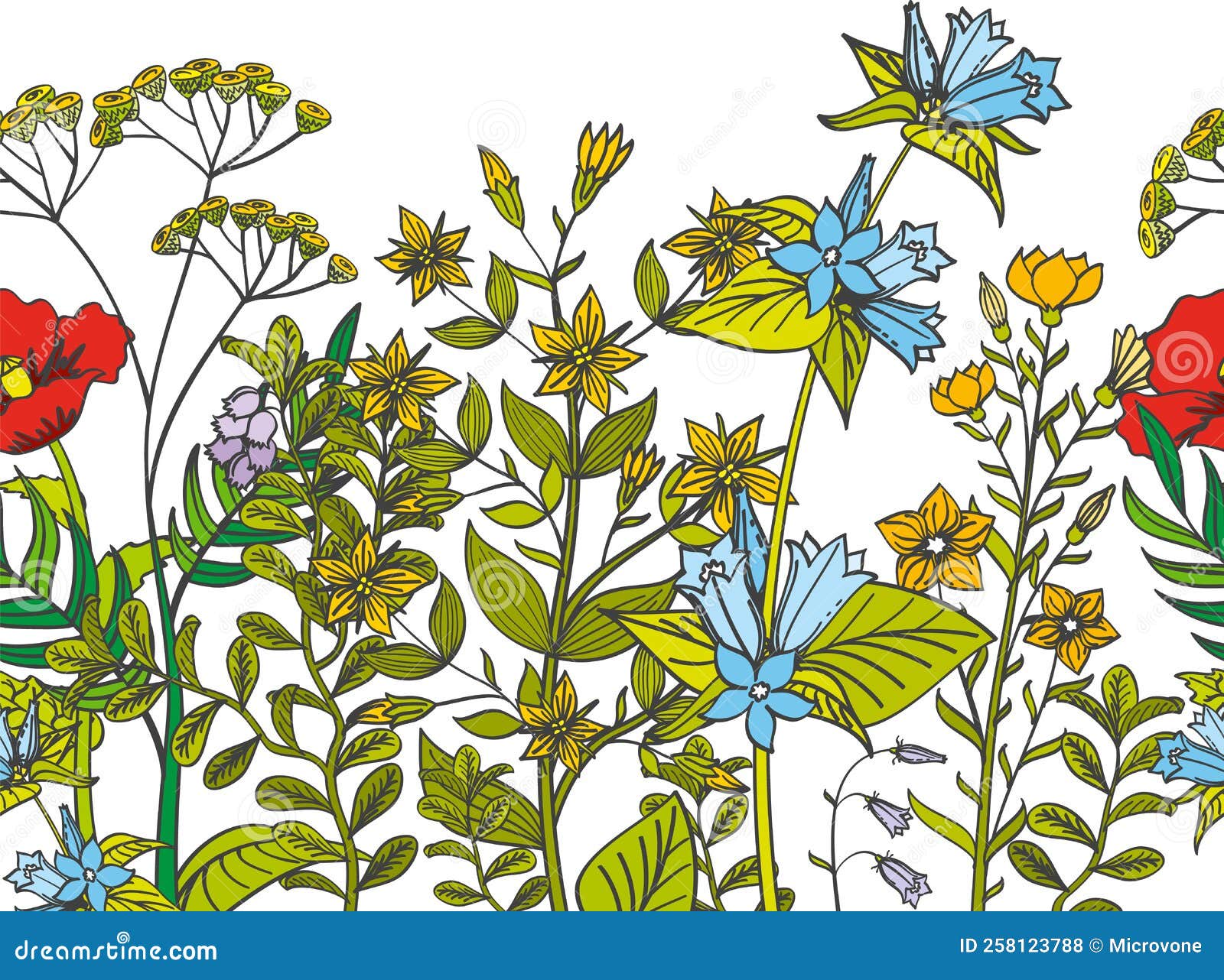 Growing Herbs. Meadow Plants Color Botanical Border Stock Photography ...