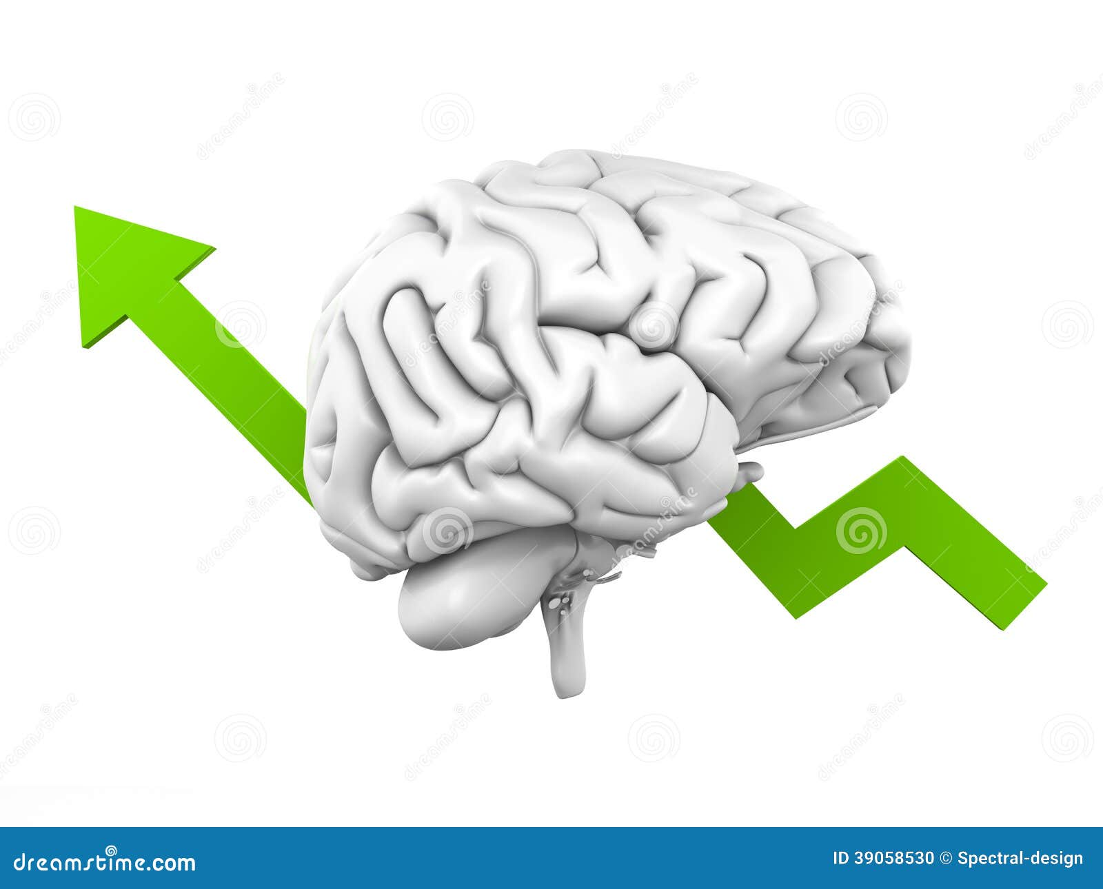 Growing Intelligence stock illustration. Illustration of brain - 39058530