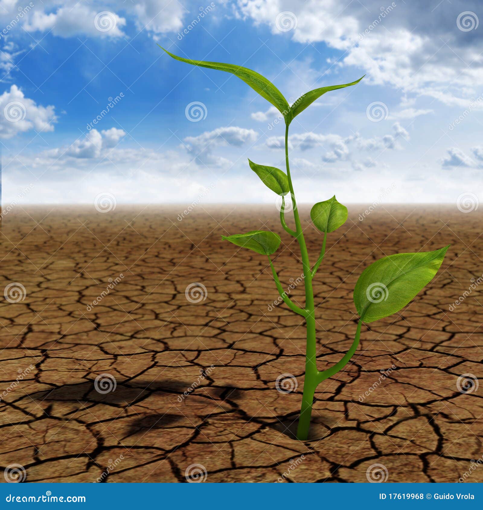 Growing life stock illustration. Illustration of desert - 17619968