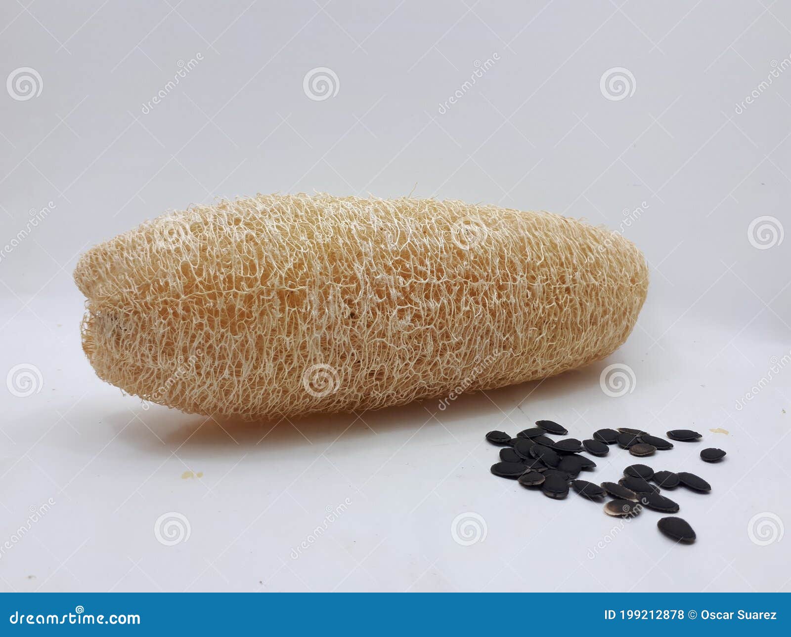 Growing Loofah with Black Seeds Stock Photo - Image of cuisine, snack ...
