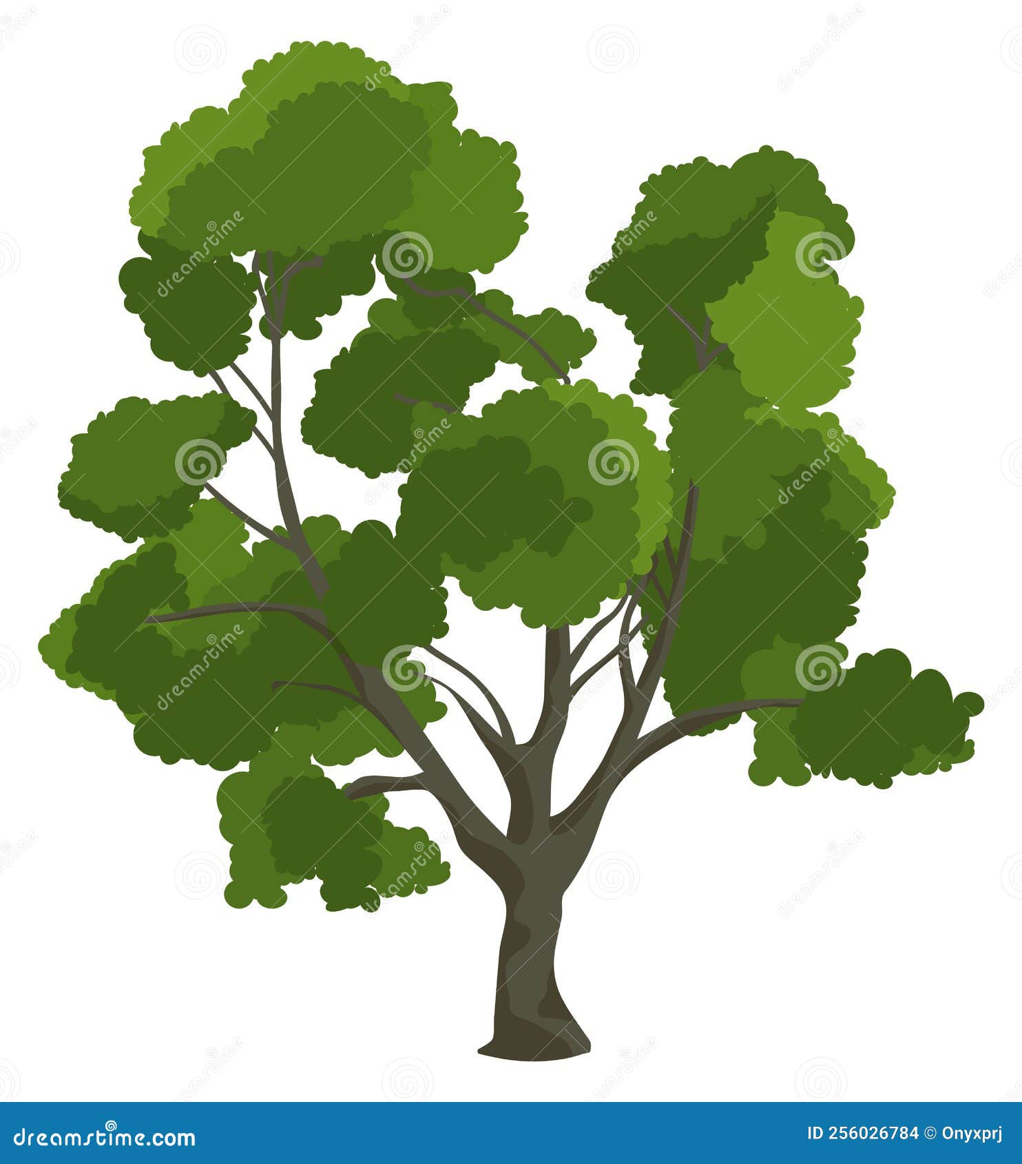 Growing Maple Tree. Park Plant with Green Foliage Stock Vector ...