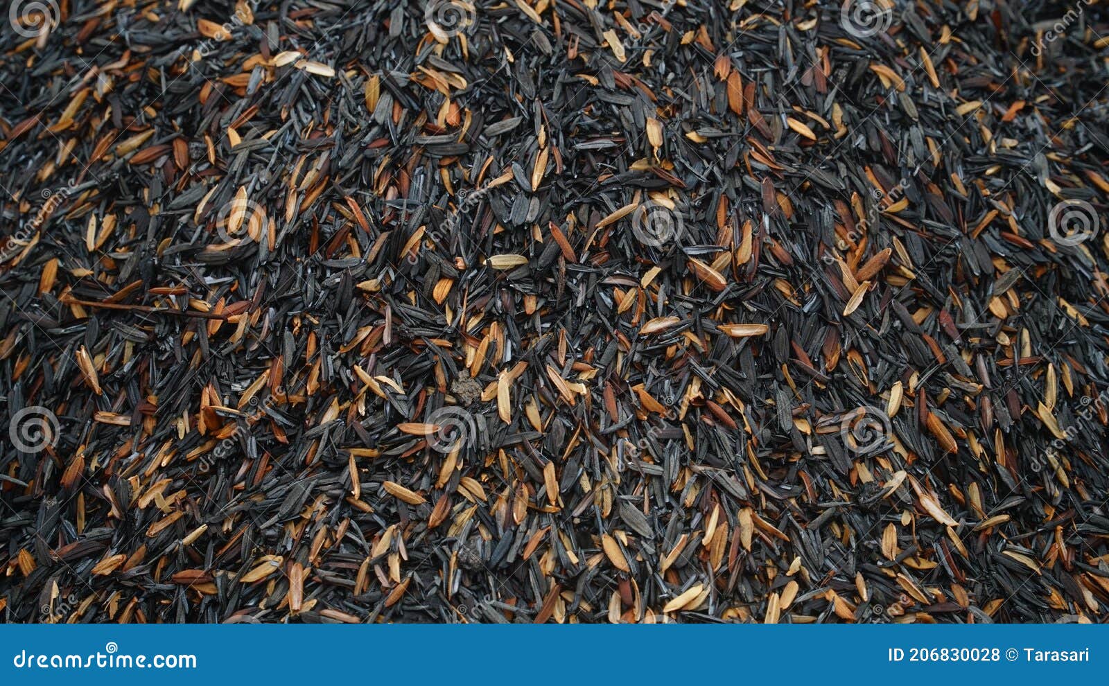 Growing Media Made of Burned Rice Bran Stock Photo - Image of gardening ...