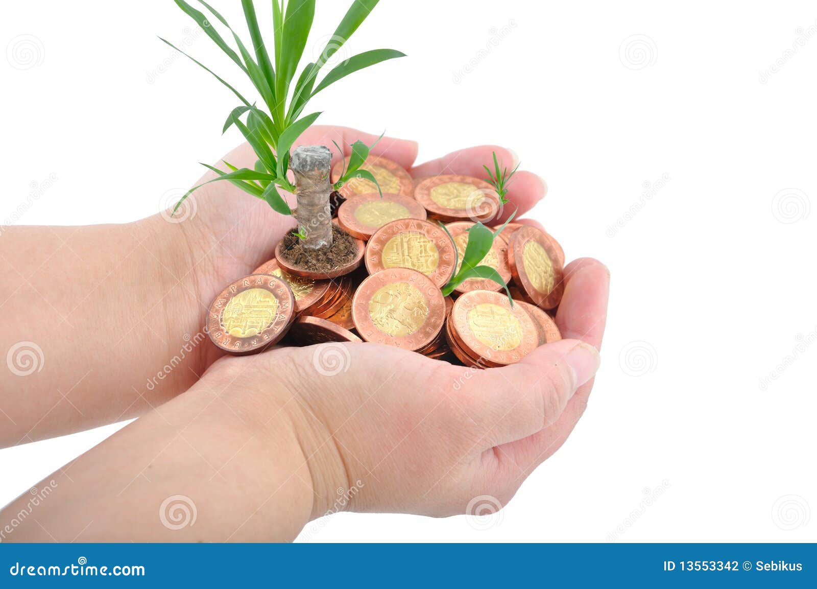Growing money stock photo. Image of currency, economy - 13553342