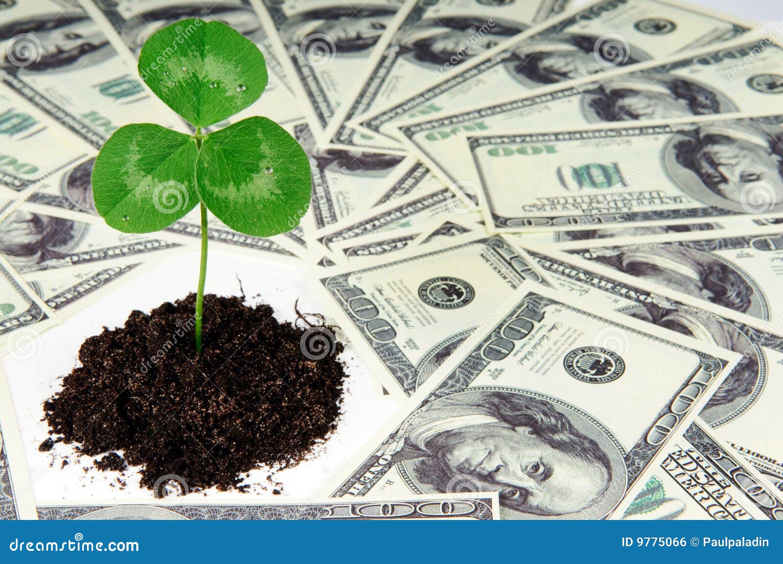 Growing money stock photo. Image of isolated, develop - 9775066