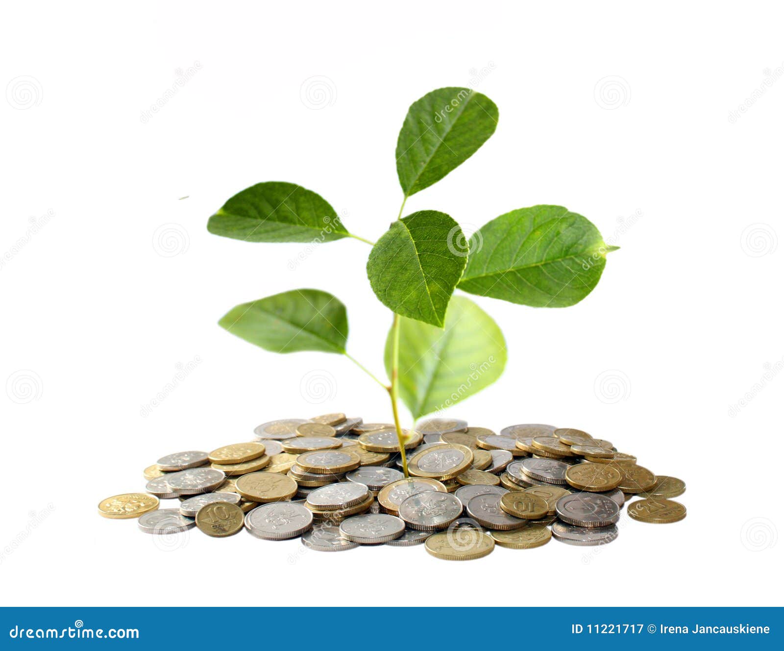 Growing money concept stock image. Image of heap, care - 11221717