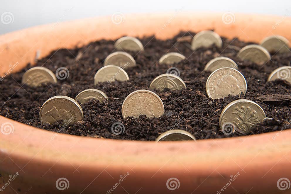 Growing money in pot editorial stock image. Image of earnings - 43218154