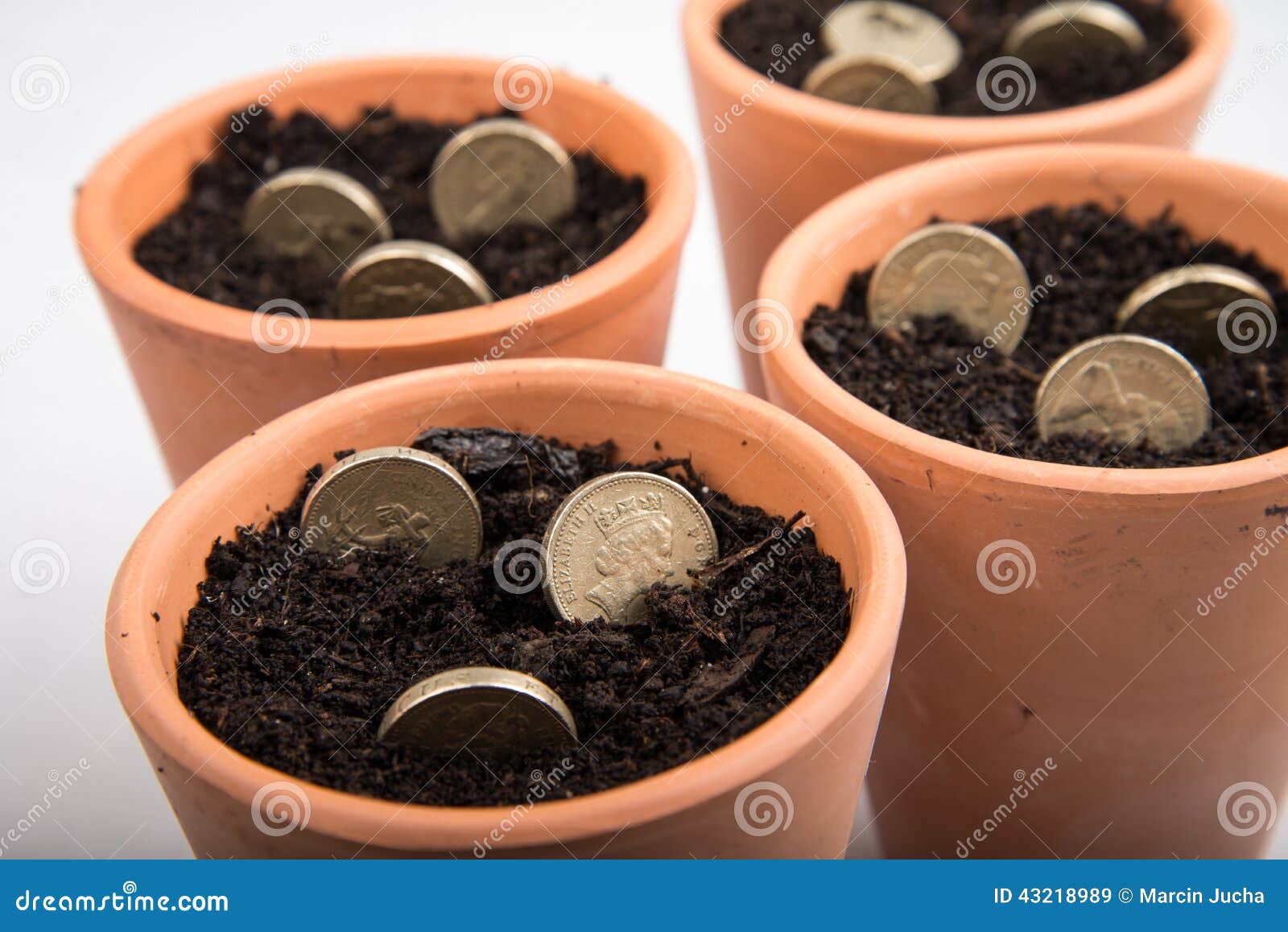 Growing money in pot stock image. Image of earnings, investment - 43218989