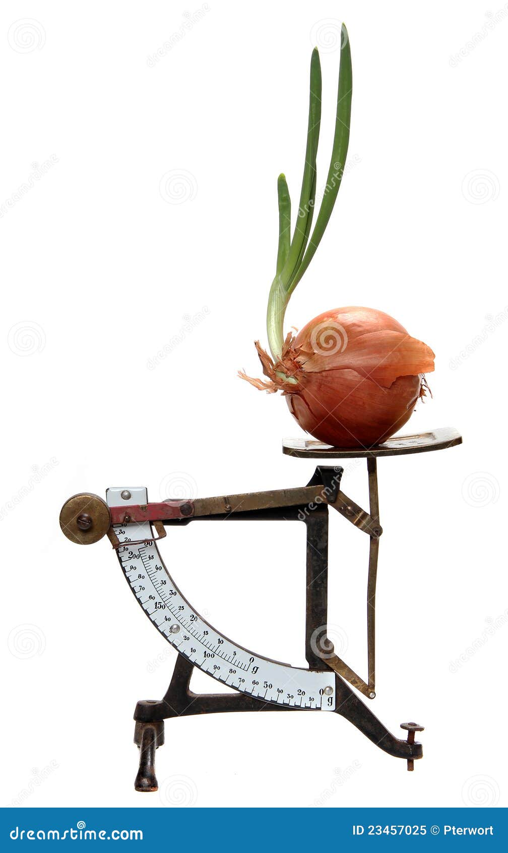 Growing Onion On Old Letter Scales Stock Image | CartoonDealer.com ...