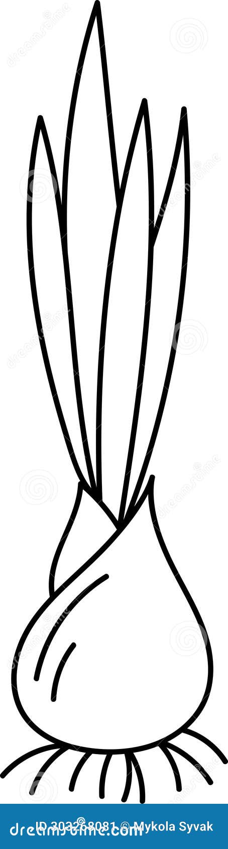 Onion Cut Outline In Cartoon Style, Onion Cut For Coloring Isolated On ...