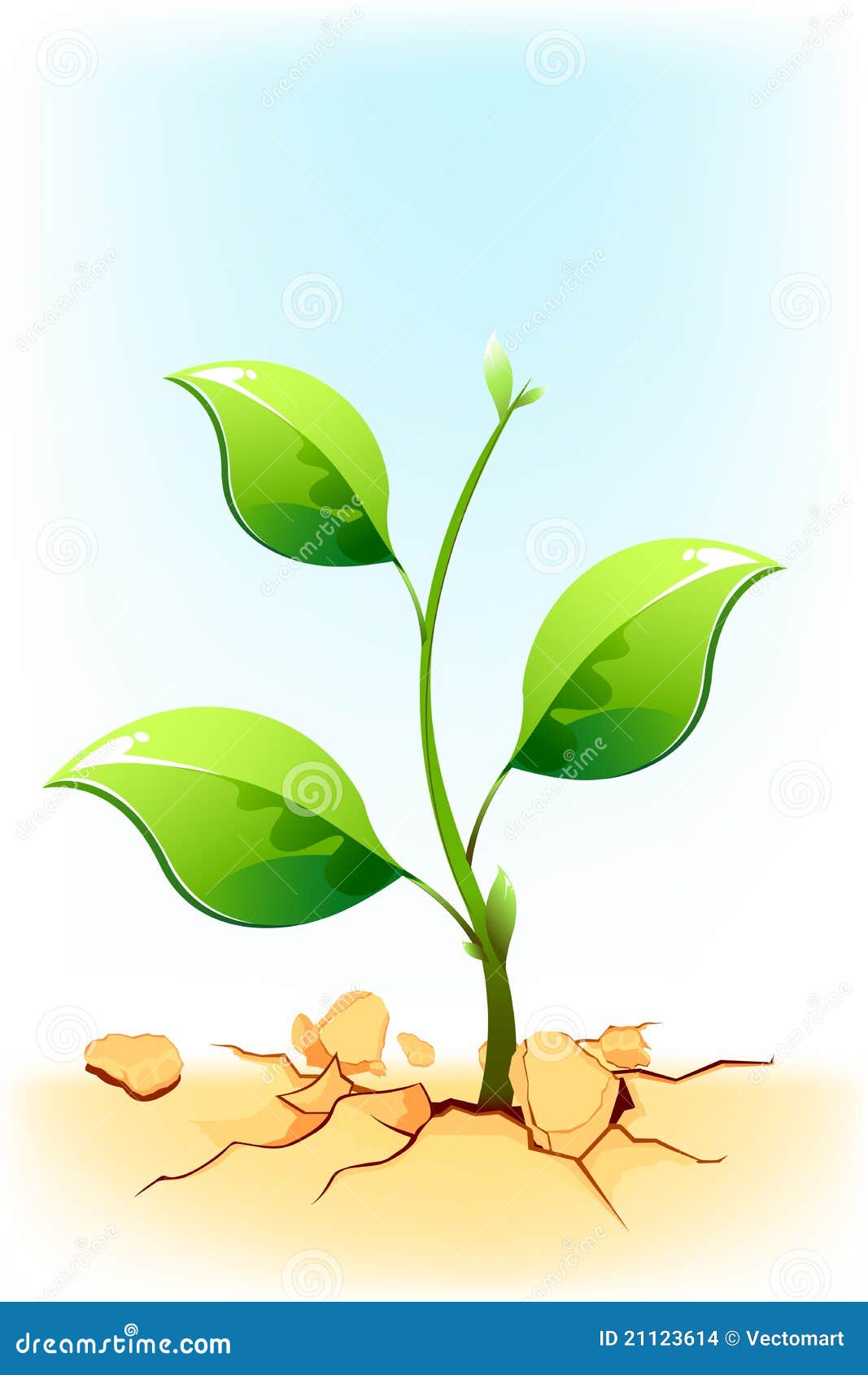 Growing Plant stock vector. Illustration of plantation - 21123614