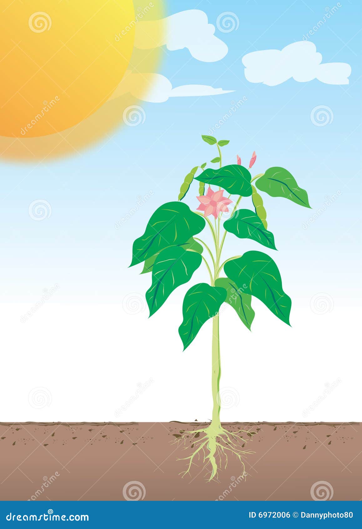 Growing plant stock illustration. Illustration of roots - 6972006