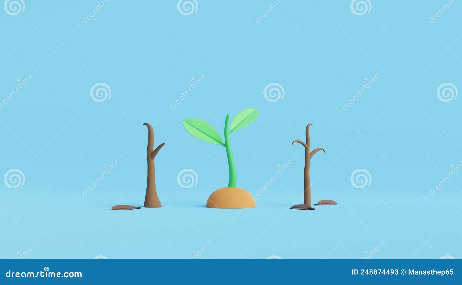 Dying Plant Of Sweet Corn From Small Sprout Till Dried Plant, Cartoon ...