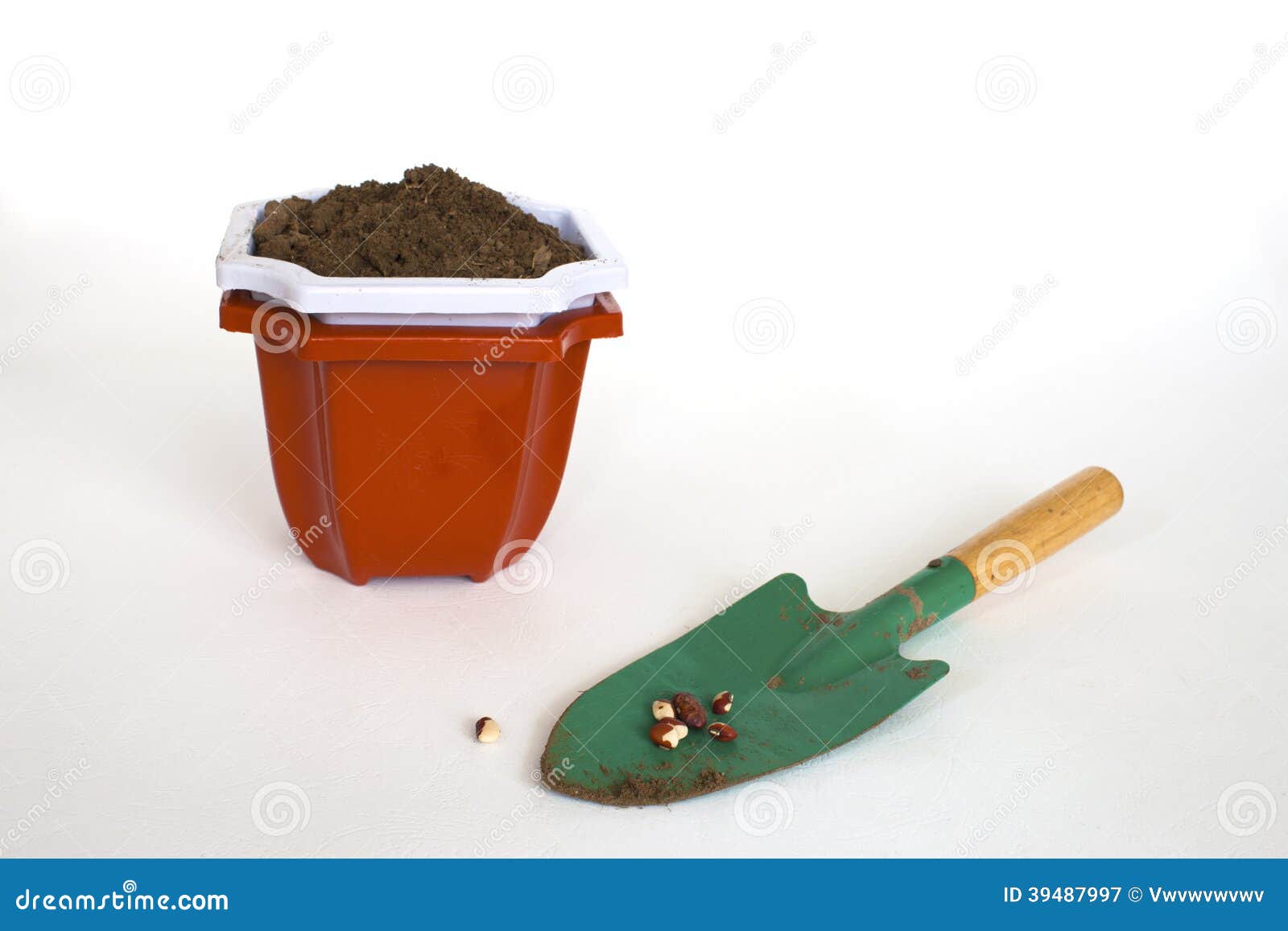 Growing a plant stock image. Image of hope, spring, beginning - 39487997