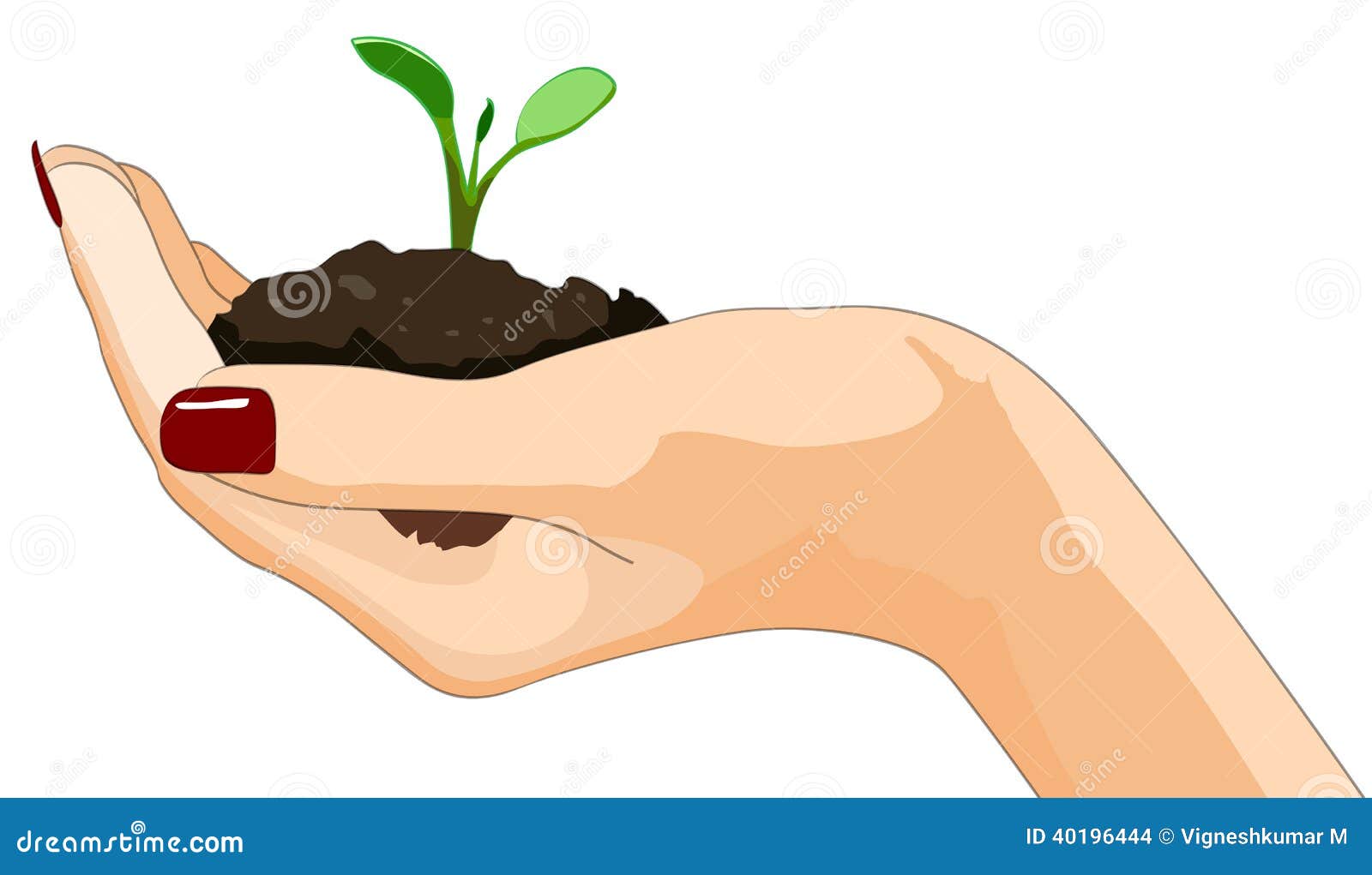 Growing plant in hand stock vector. Illustration of agriculture - 40196444