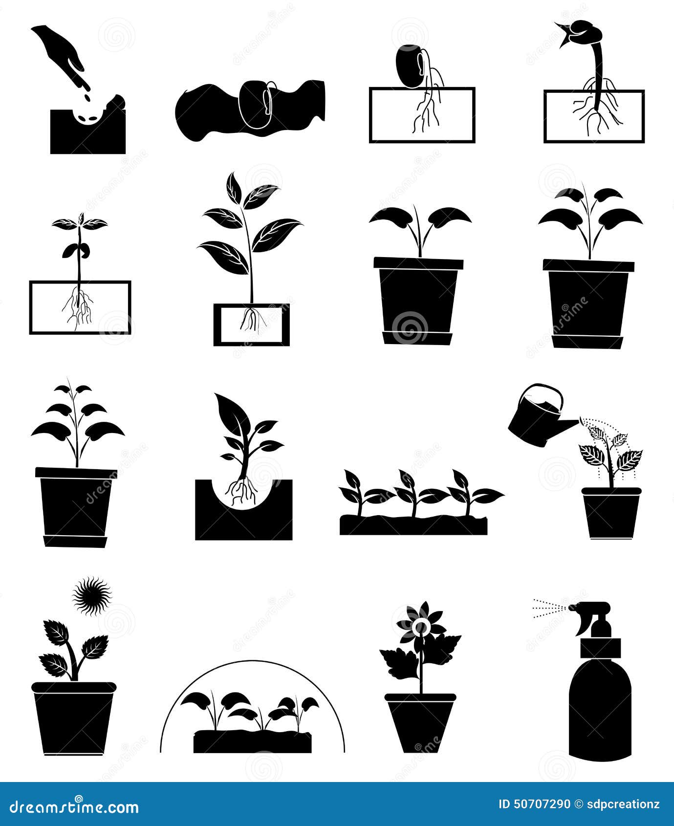 Growing Plant Icons Set Stock Vector - Image: 50707290