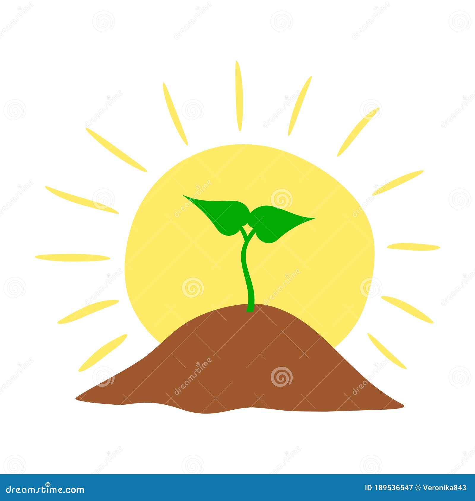 Sunlight Plant Clipart Without Background