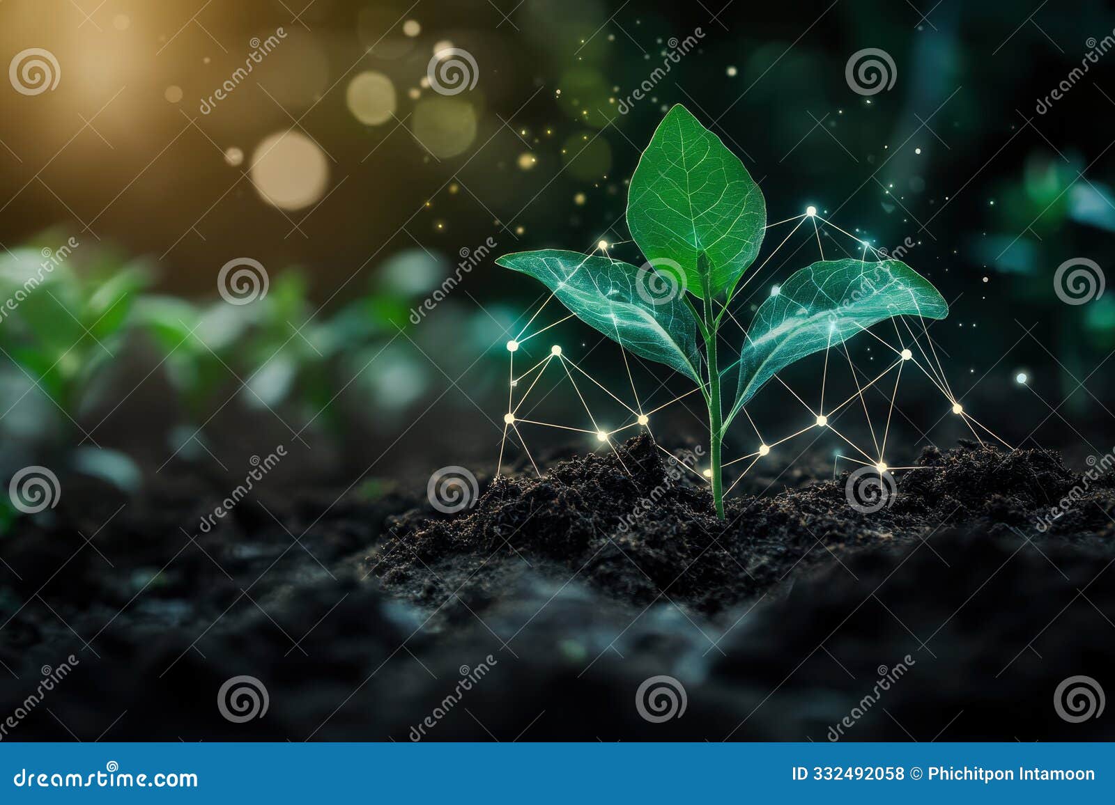 Growing Plant Tree with Digital Network Overlay. Stock Photo - Image of ...