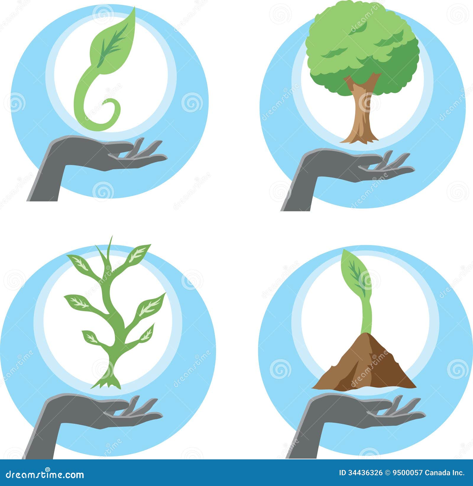 Growing plants stock vector. Illustration of plants, leaf - 34436326