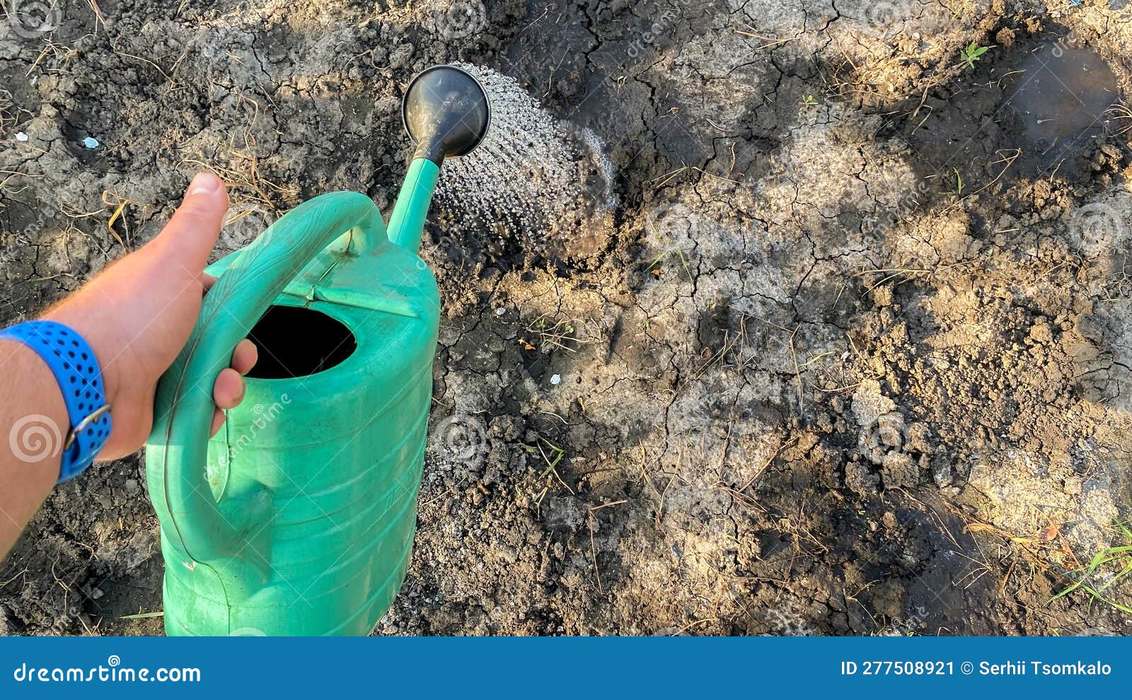 Growing Plants in the Ground Stock Image - Image of farming, carrot ...