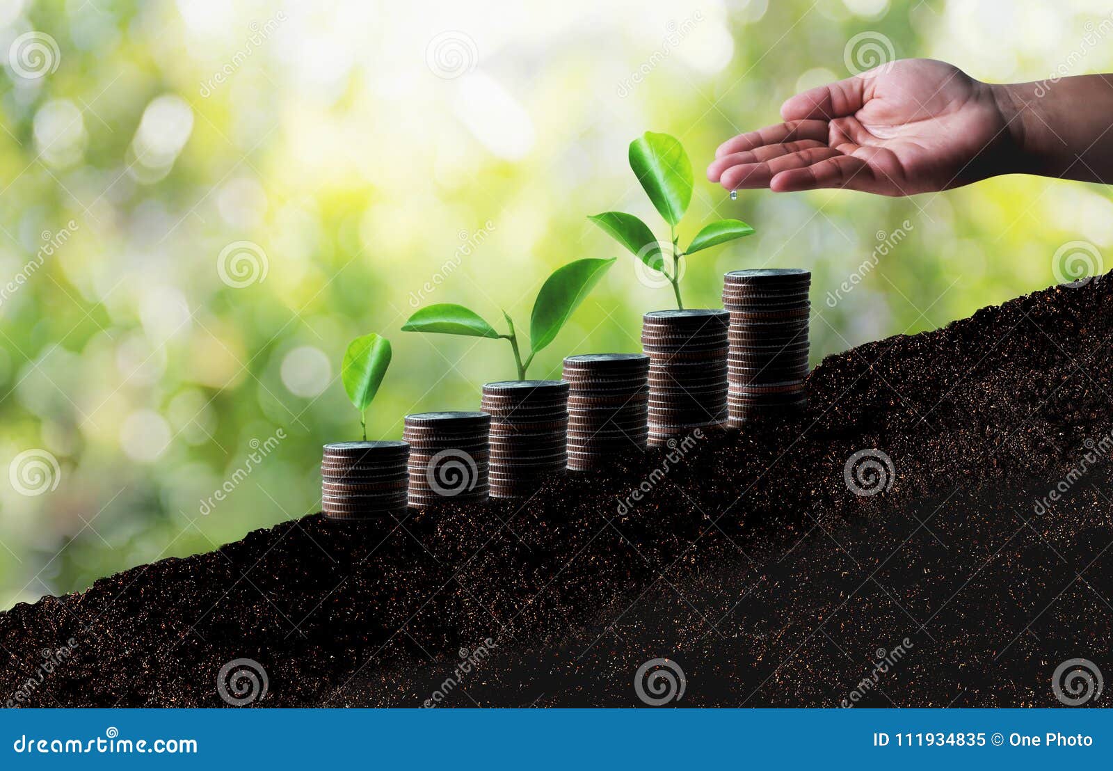 Growing Savings Coins Investment Growing Graph Business Development and ...