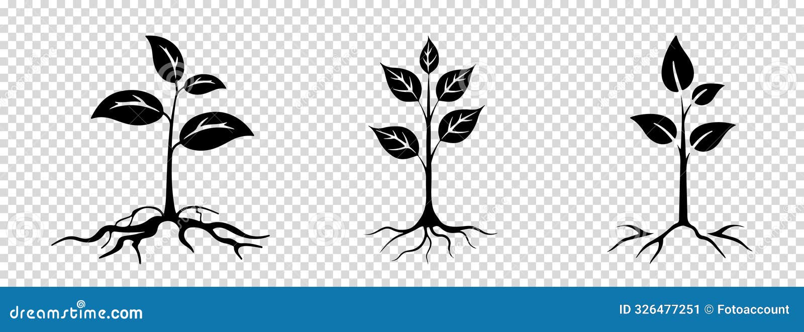 Growing Shoot Icon Set - Vector Illustrations Isolated on Transparent ...