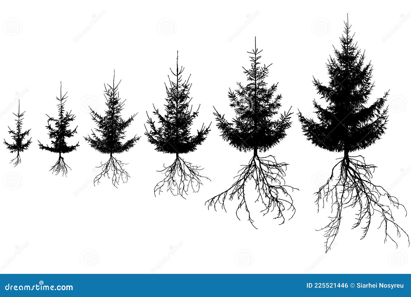 Life Process Of Golden Tree. Vector | CartoonDealer.com #14042889