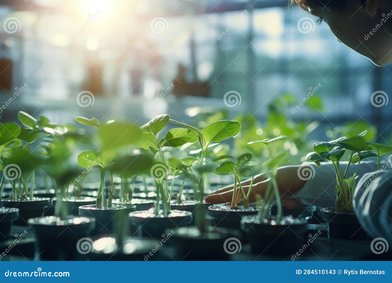 Growing and Studying Plants in Laboratory. Generative AI Stock ...