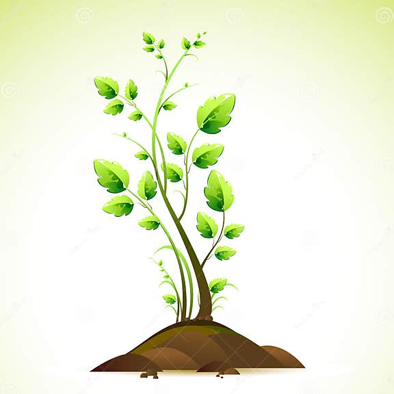 Growing Tree stock vector. Illustration of healthy, greenery - 18480967