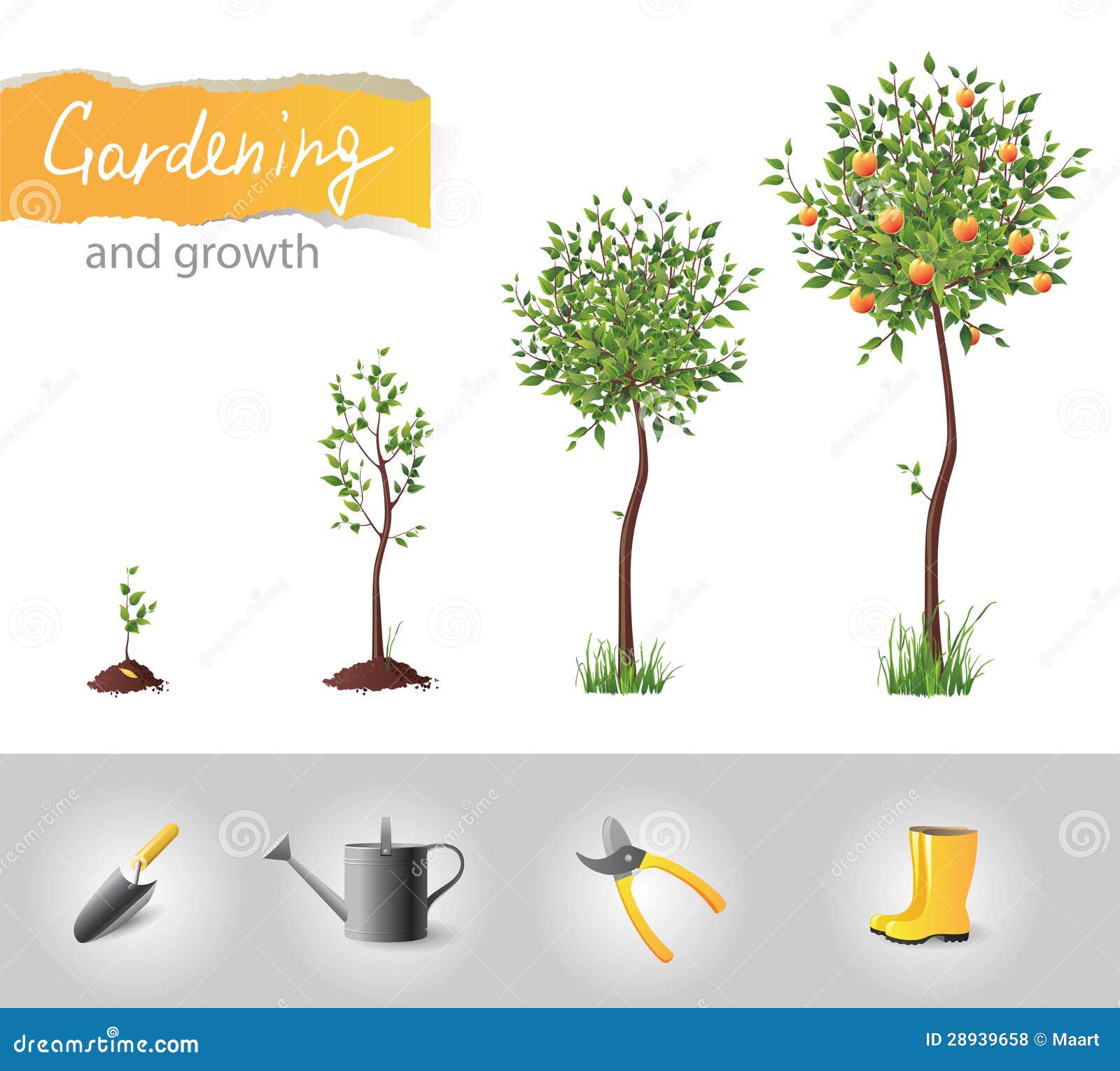 Growing tree stock vector. Illustration of equipment - 28939658