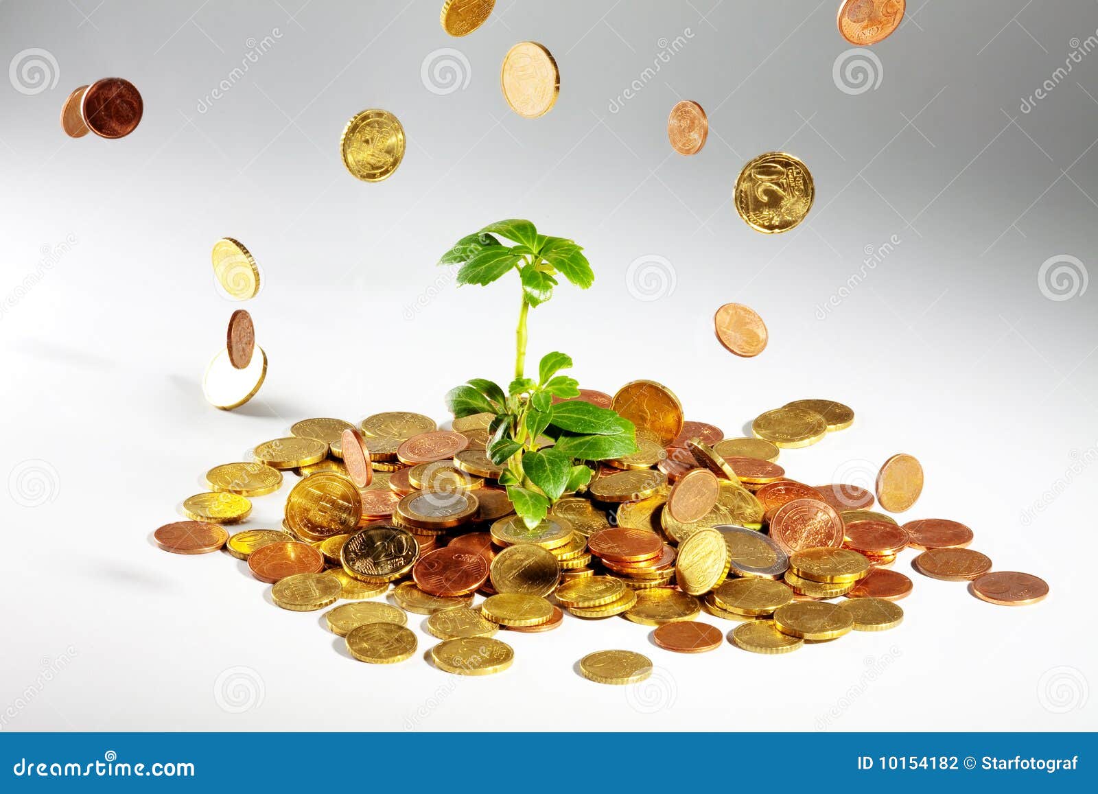 Growing tree on coins stock photo. Image of bloom, concept - 10154182