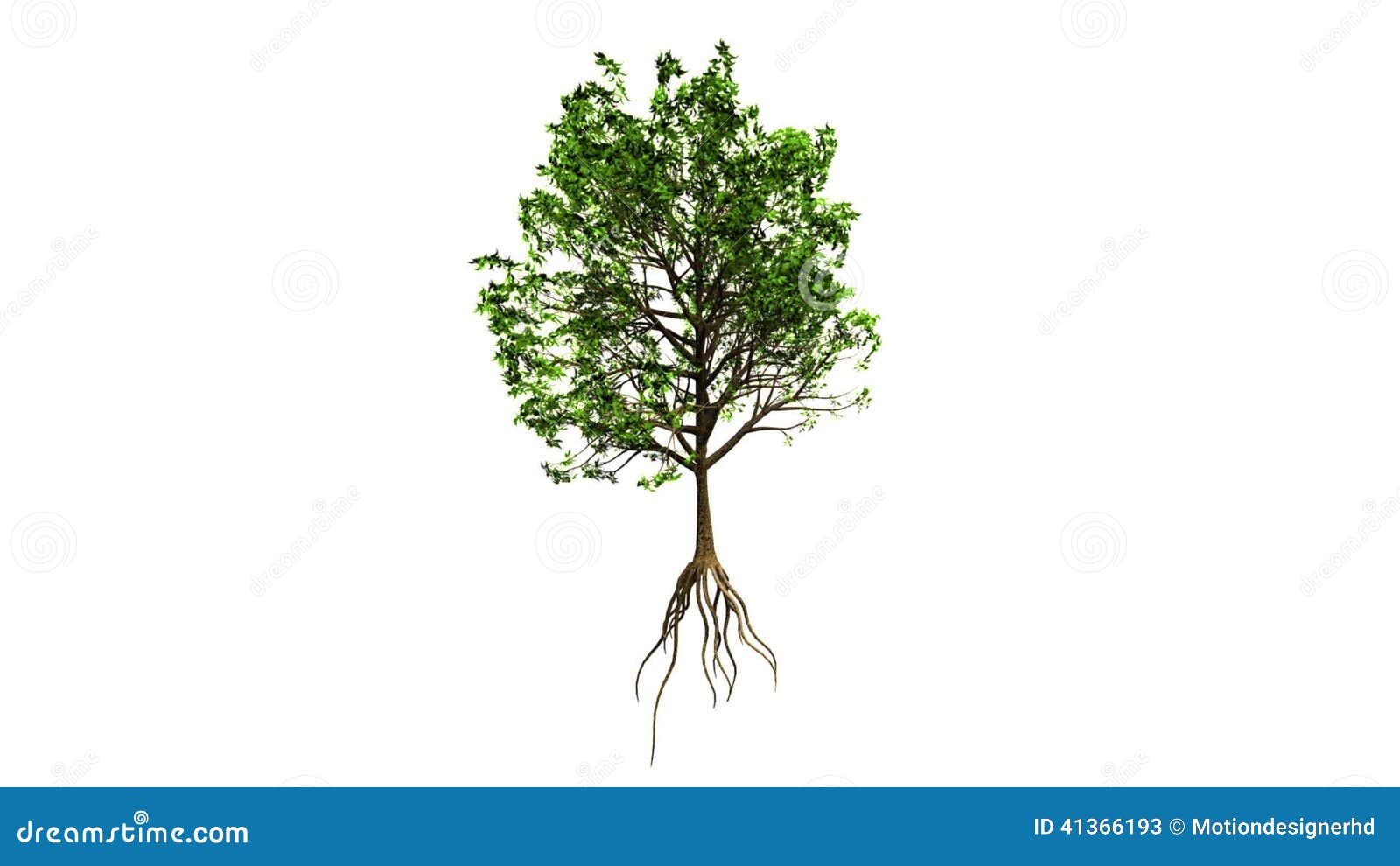 Growing Tree (Color Version) Stock Video - Video of light, animated ...