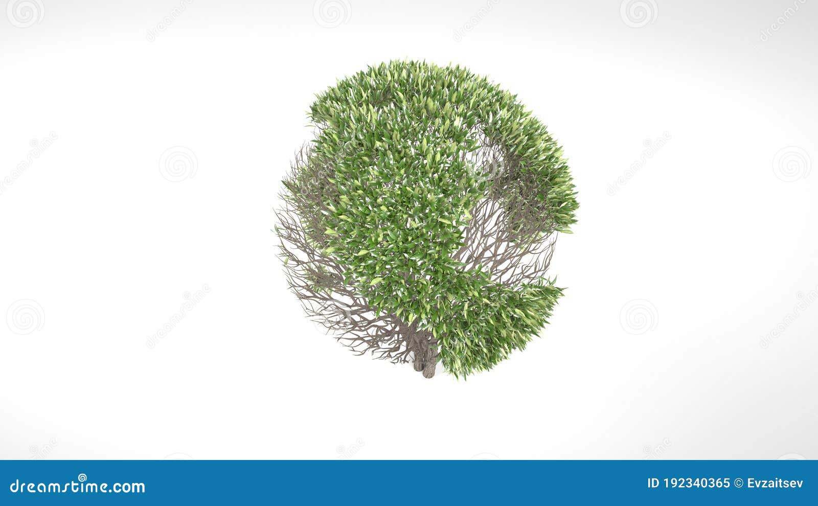 Growing Tree, Forming Globe Shape with Leaves. Earth Tree Concept Stock ...