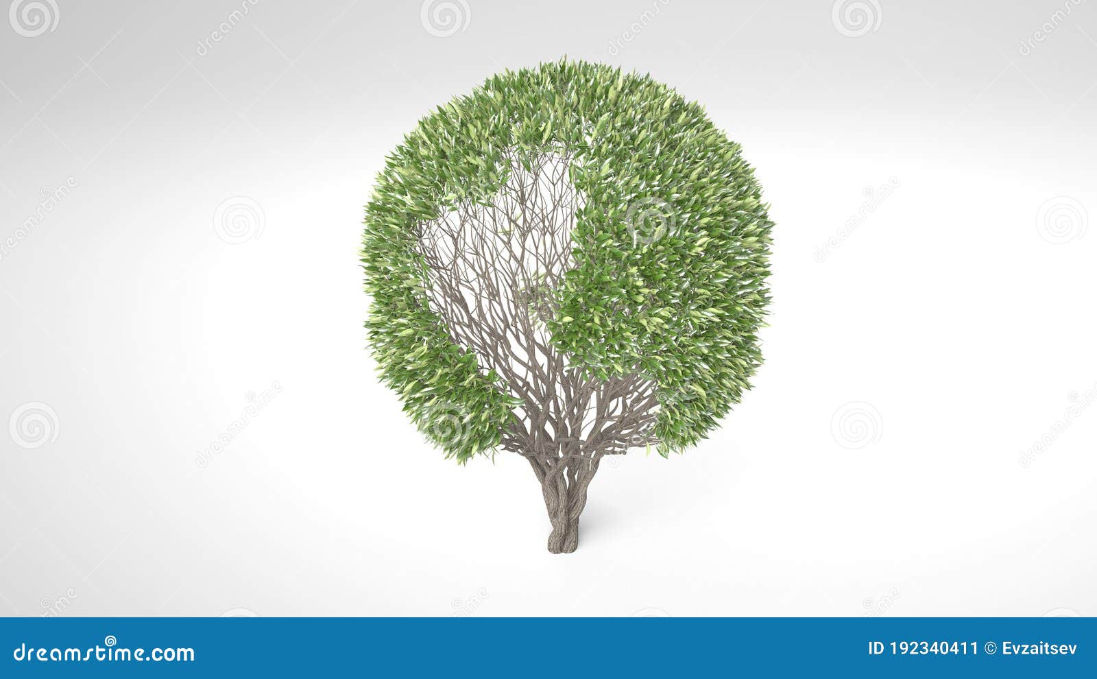 Growing Tree, Forming Globe Shape with Leaves. Earth Tree Concept Stock ...