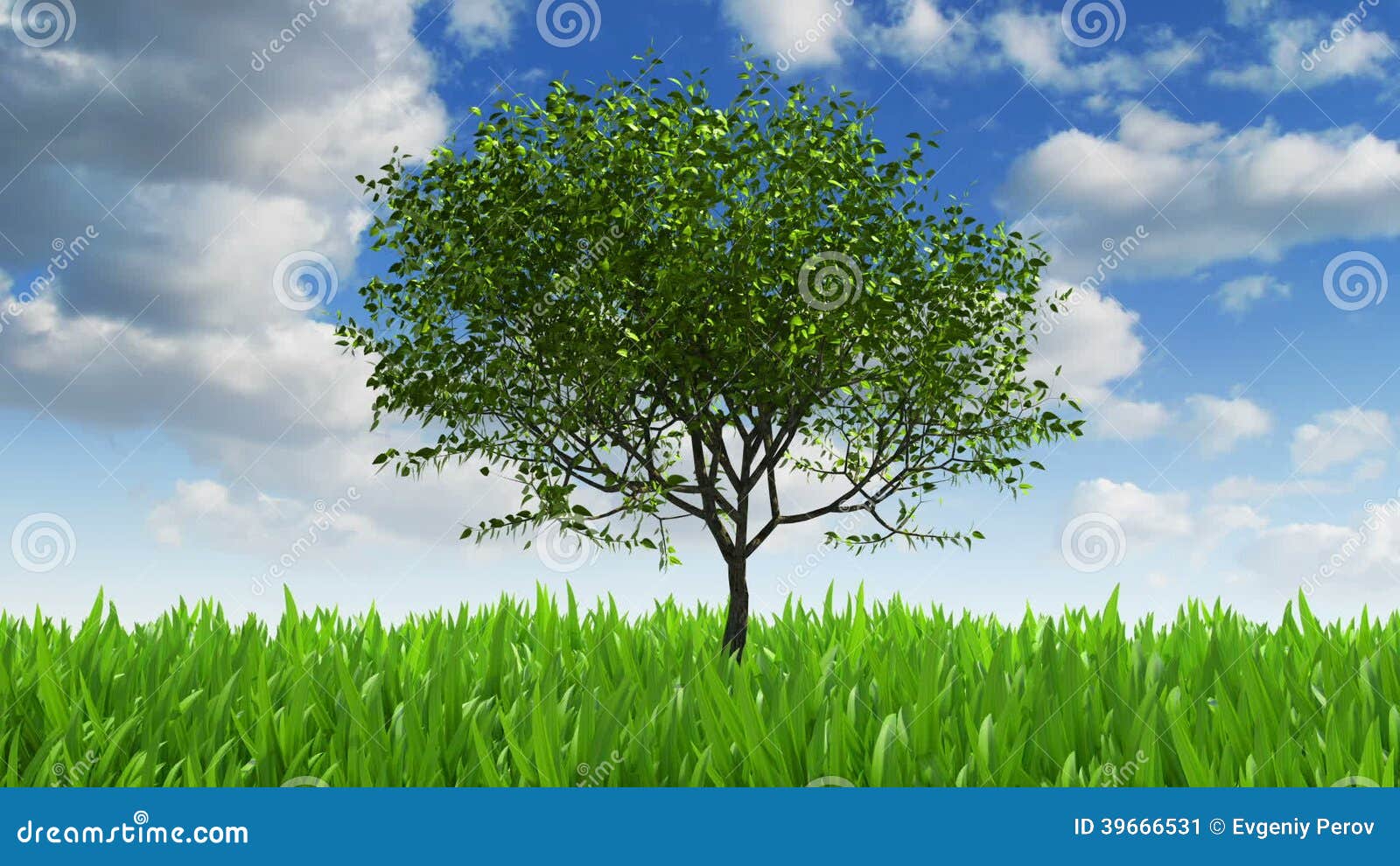Growing Tree and Grass, 3d Animation Stock Video - Video of foliage ...
