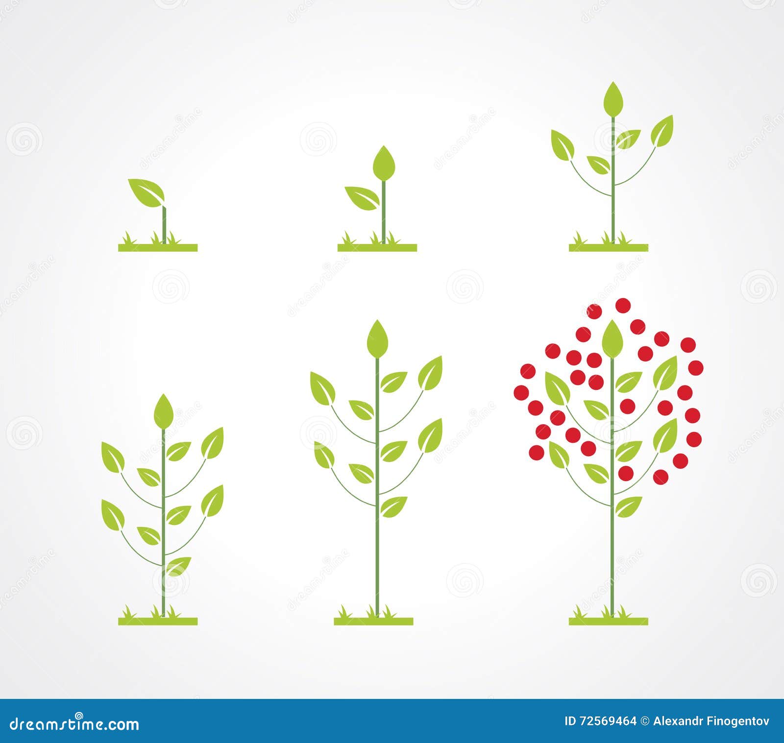 Growing Tree Icon Set Royalty-Free Stock Image | CartoonDealer.com ...