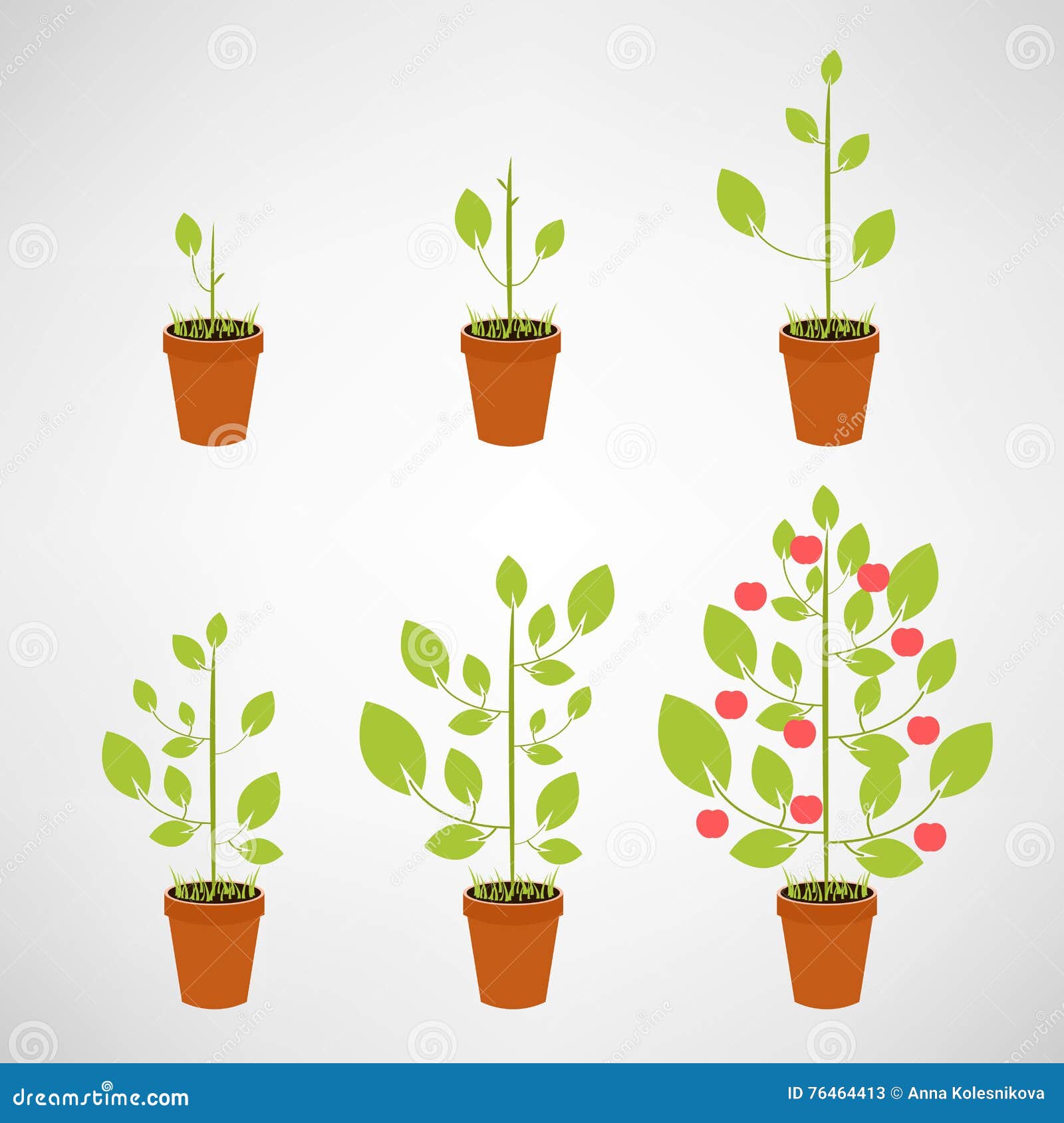Growing tree icon set stock illustration. Illustration of education ...