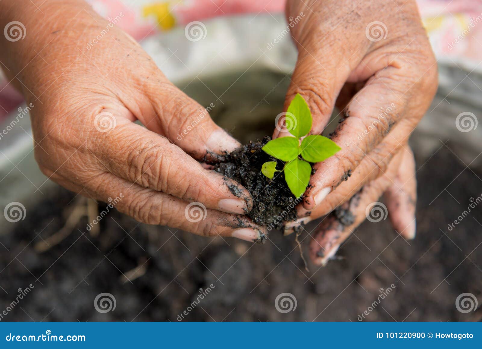 Growing the Tree. Save the Planet Concept Stock Photo - Image of nature ...