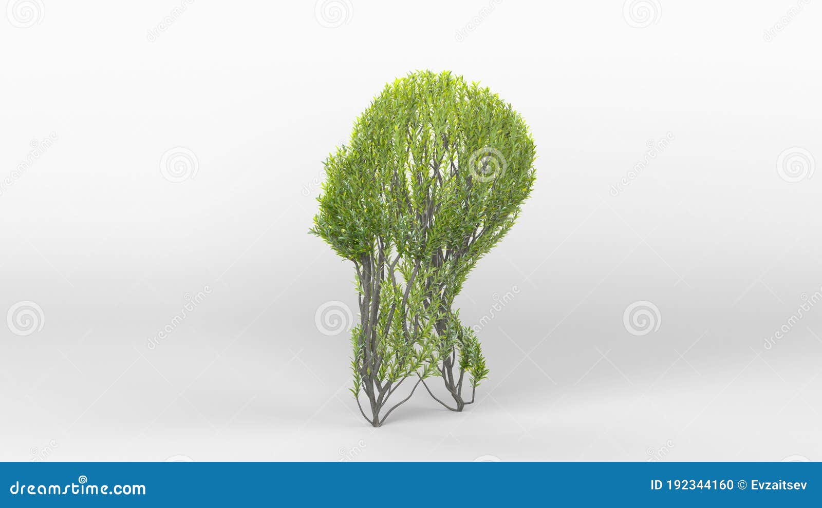 Growing Tree in a Shape of Head. Eco Concept Stock Illustration ...