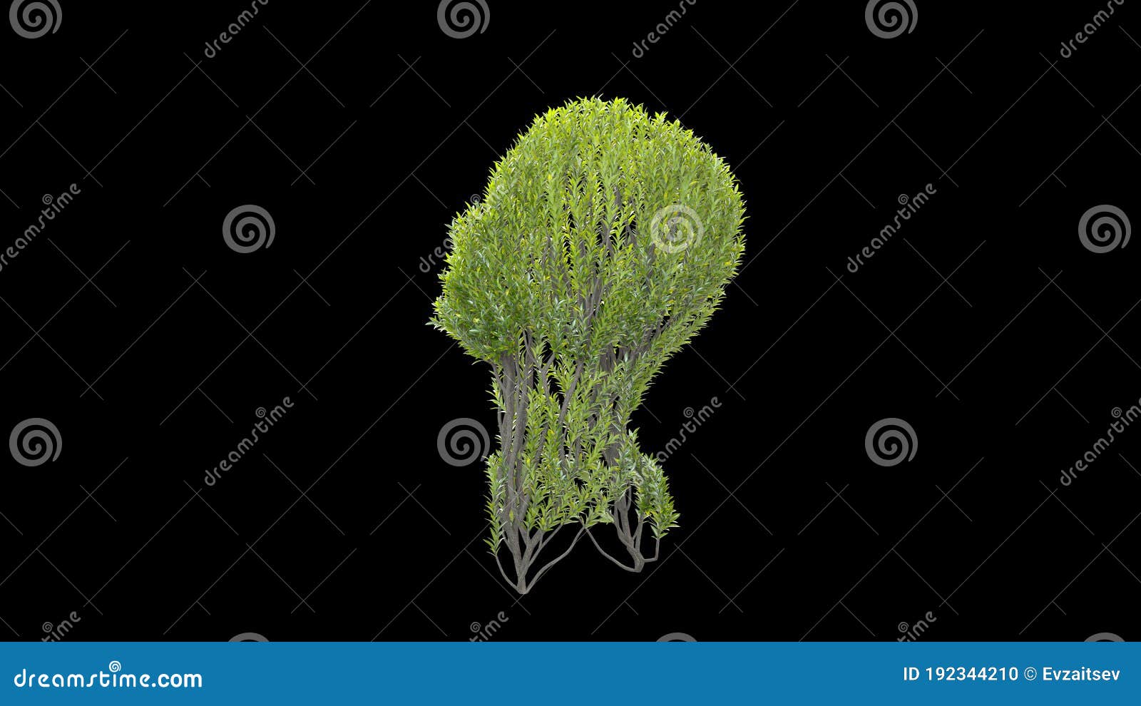 Growing Tree in a Shape of Head. Eco Concept Stock Illustration ...