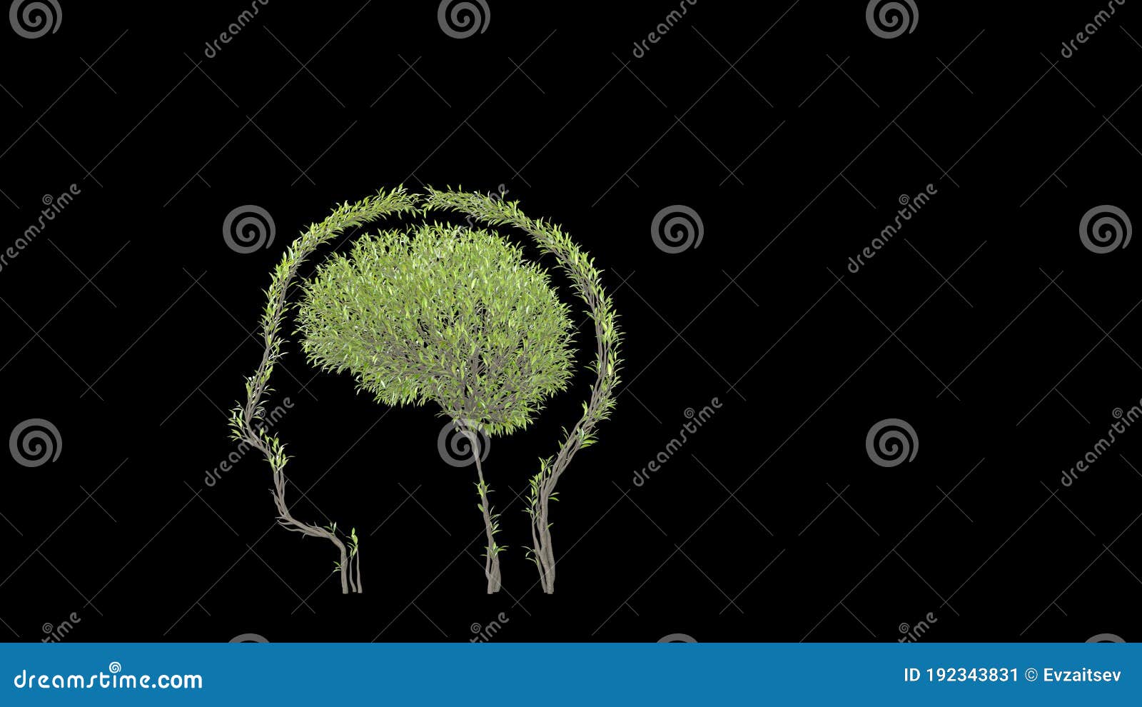 Growing Tree in a Shape of Human Brain Inside a Head. Eco Concept Stock ...