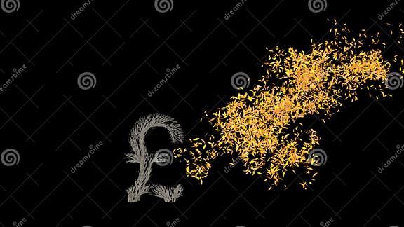 Growing Tree in a Shape of a Pound Sign Stock Photo - Image of herb ...