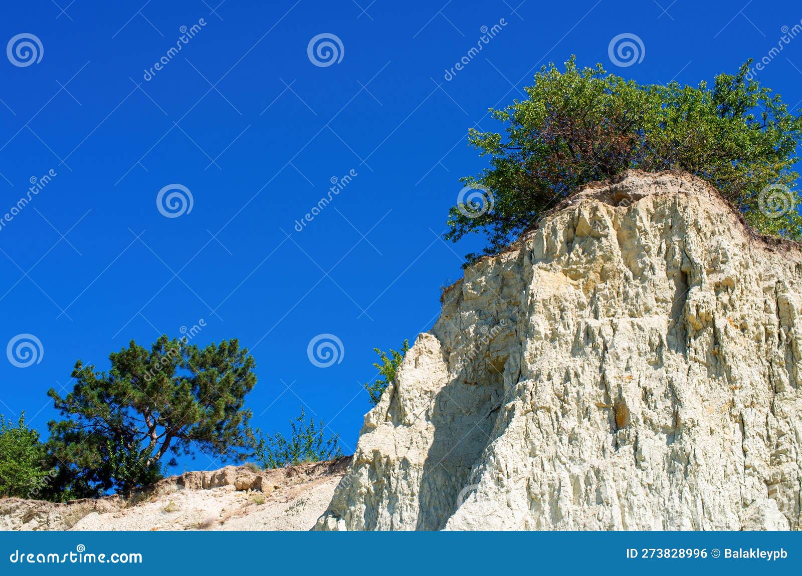 Growing Tree on Top of a Cliff Stock Photo - Image of land, grow: 273828996