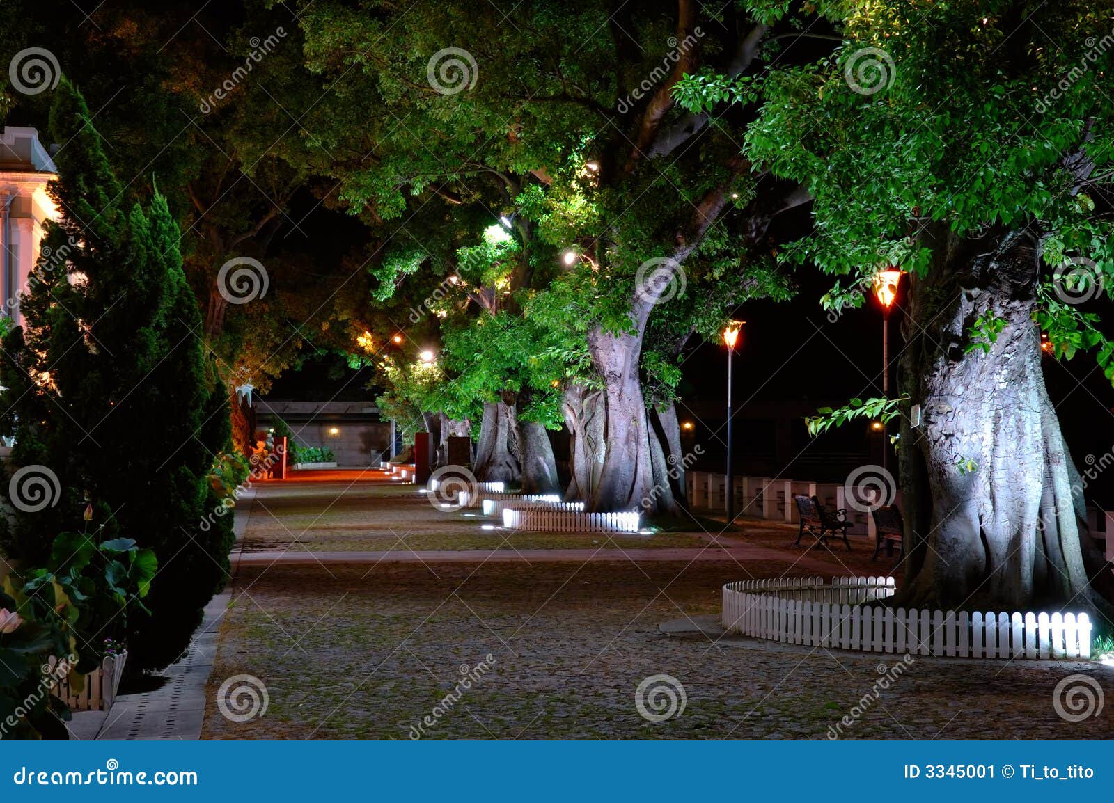 Growing Trees beside Street Stock Image - Image of vista, line: 3345001