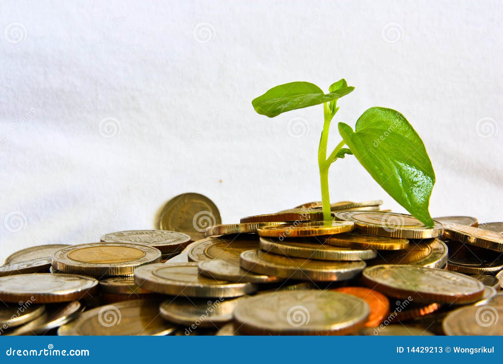Growing up stock image. Image of business, currency, money - 14429213