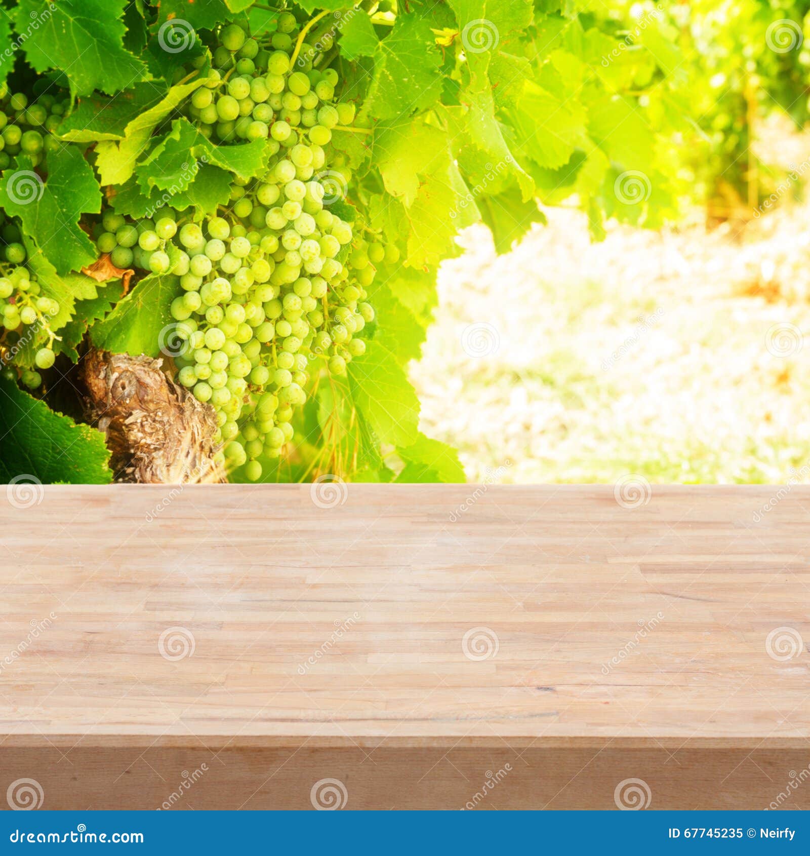 Growing White Grape with Wooden Empty Board Stock Image - Image of ...