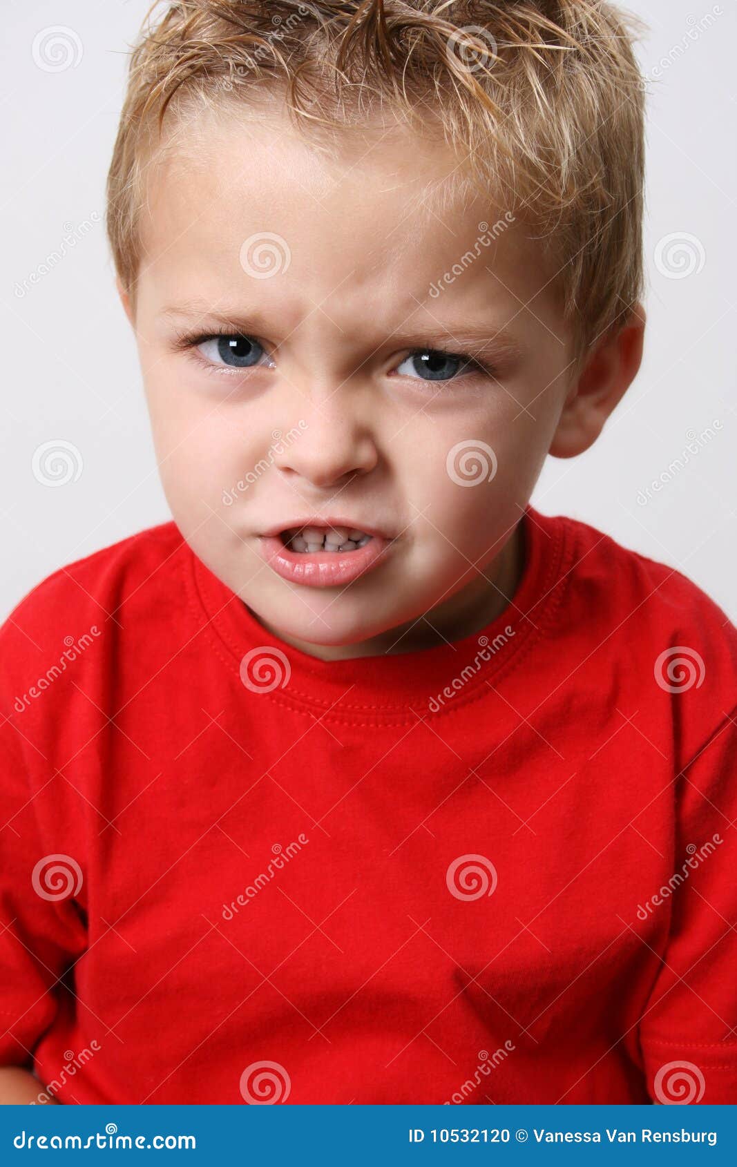 Growl stock photo. Image of caucasian, scary, annoyed - 10532120
