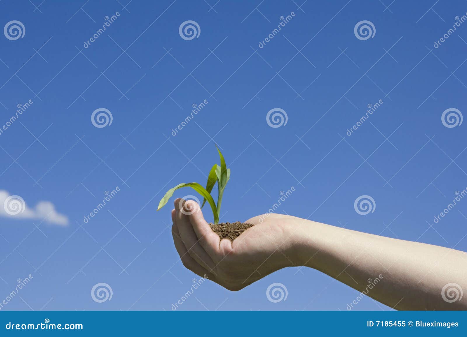 Growth stock image. Image of grow, growth, symbolism, symbolically ...