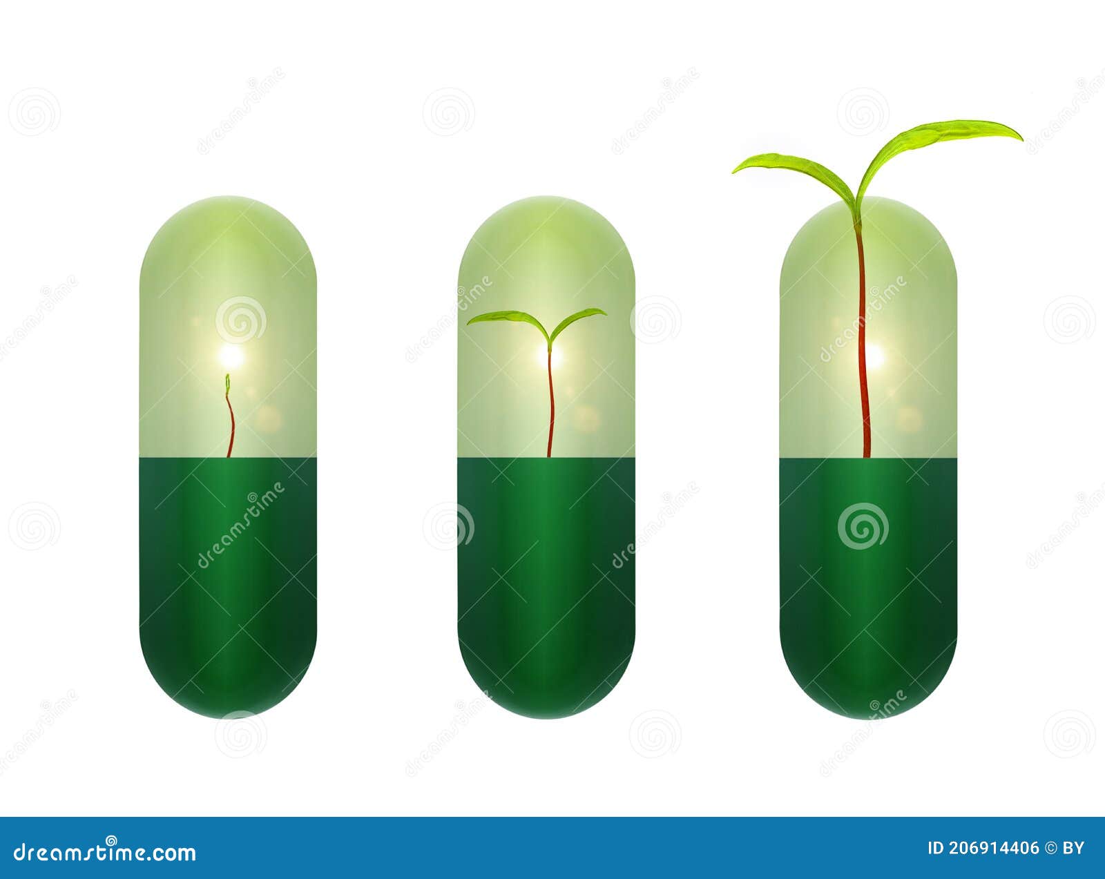 Growth from the capsule stock photo. Image of photosynthesis - 206914406