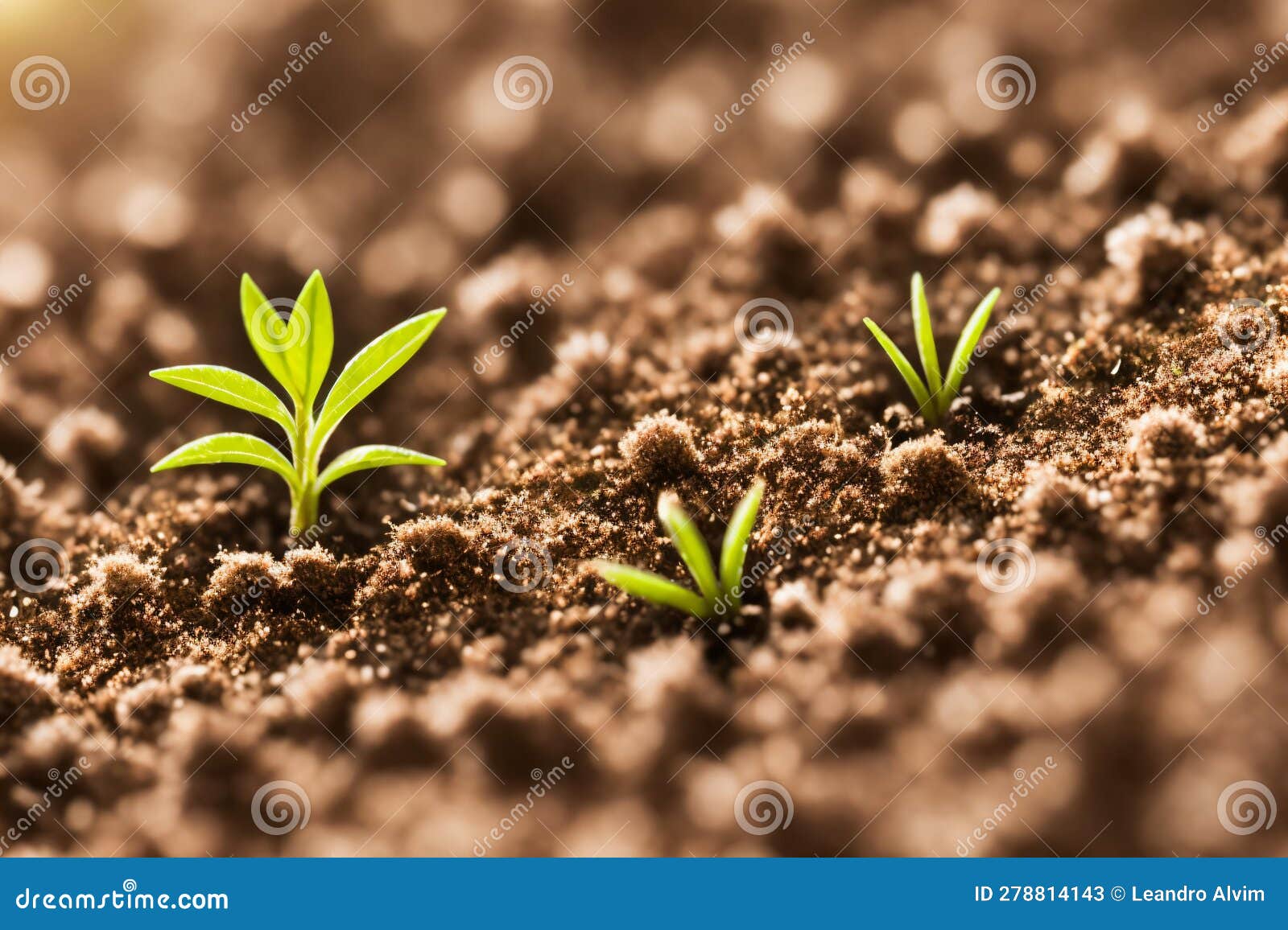 The Growth Chart of Nature.AI Generated Stock Illustration ...